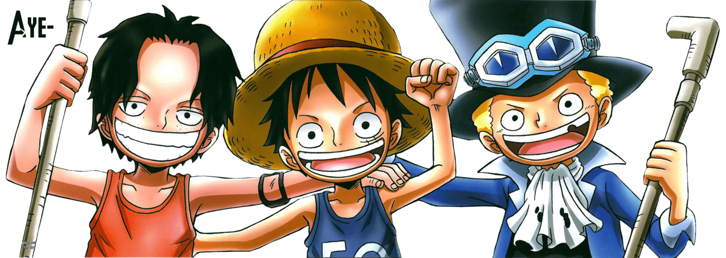 One Piece ASL Wallpapers - Top Free One Piece ASL Backgrounds ...