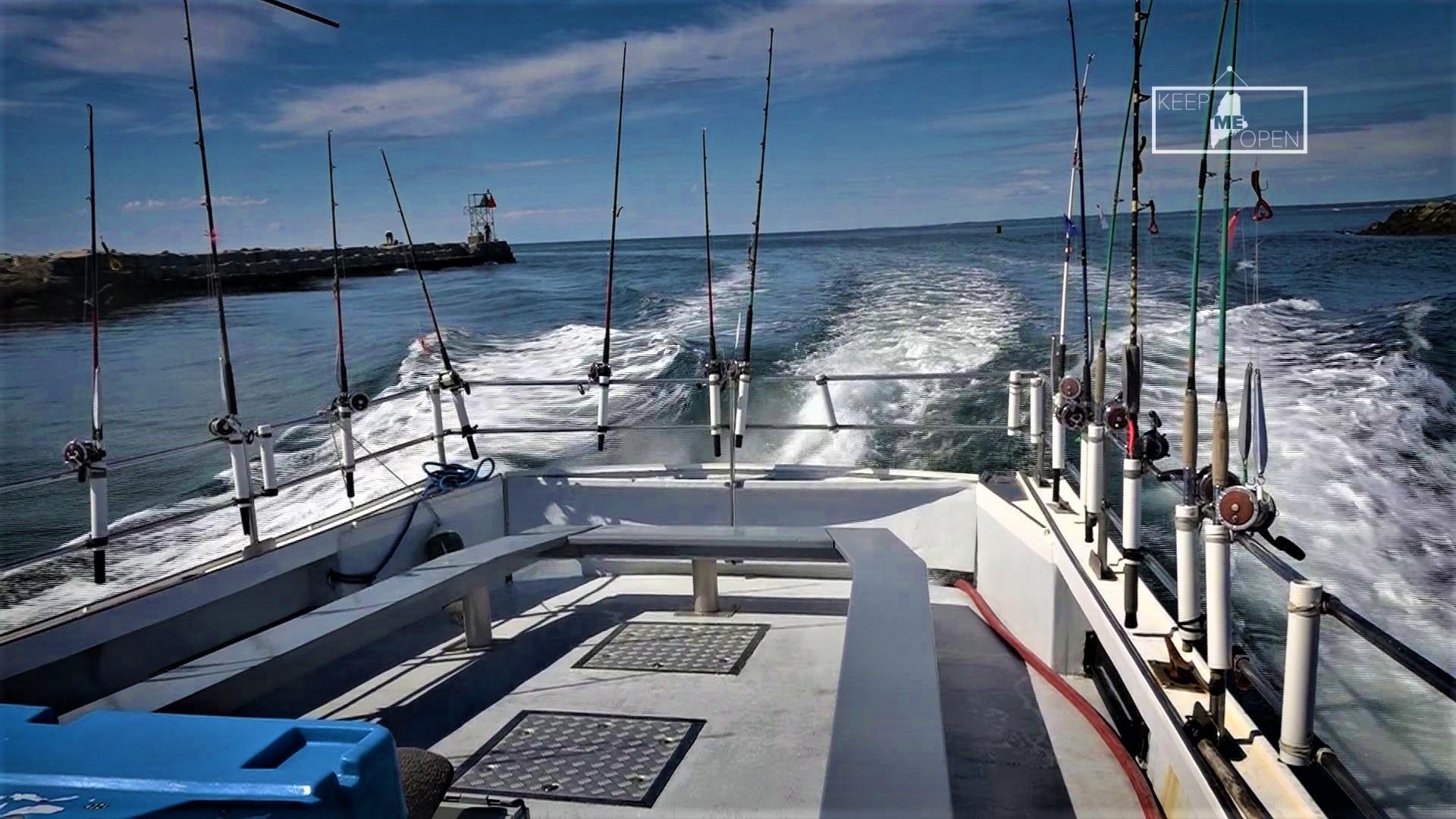 Deep Sea Fishing Wallpapers - Top Free Deep Sea Fishing Backgrounds ...