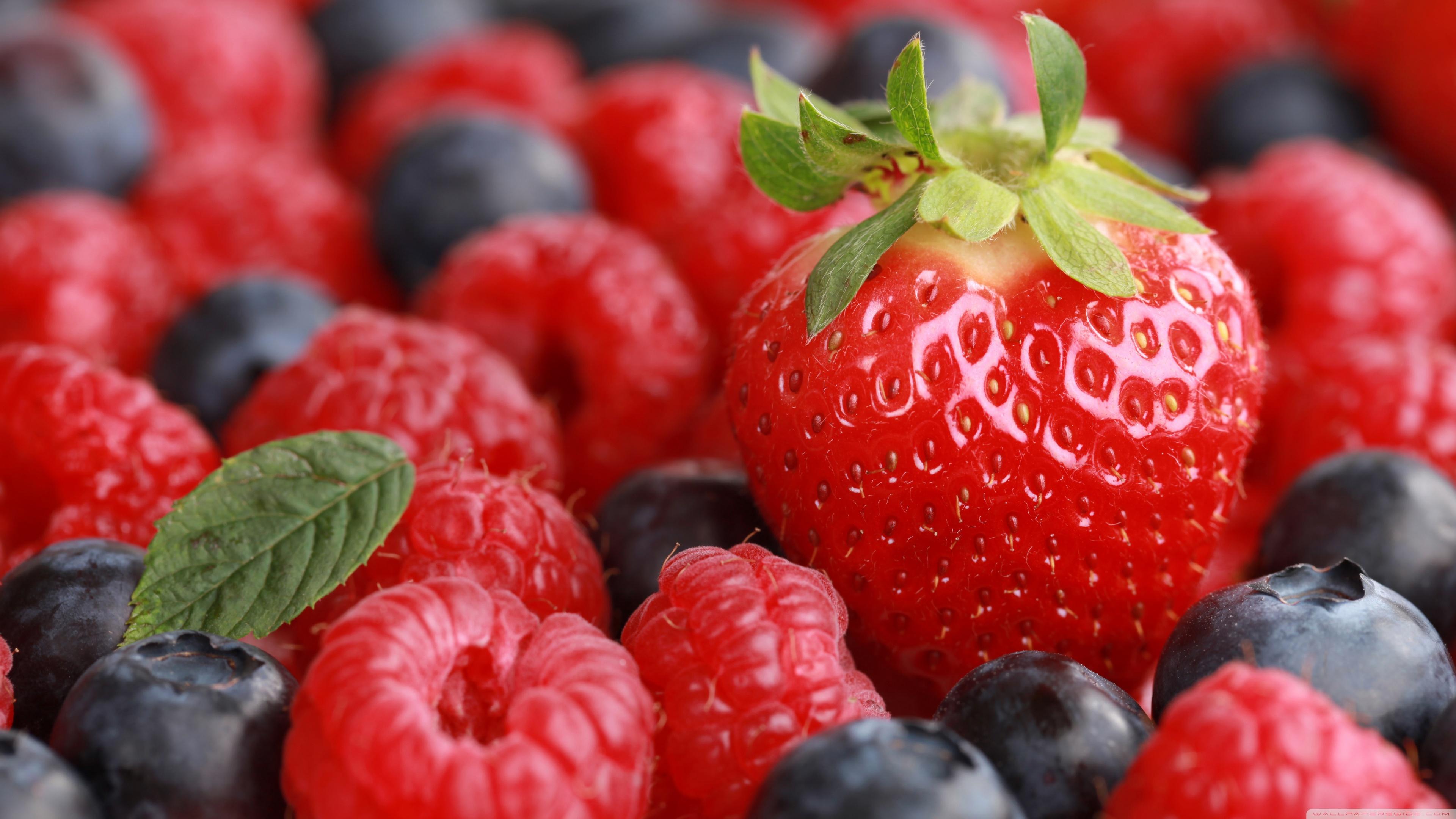 Berries Wallpapers - Top Free Berries Backgrounds - WallpaperAccess