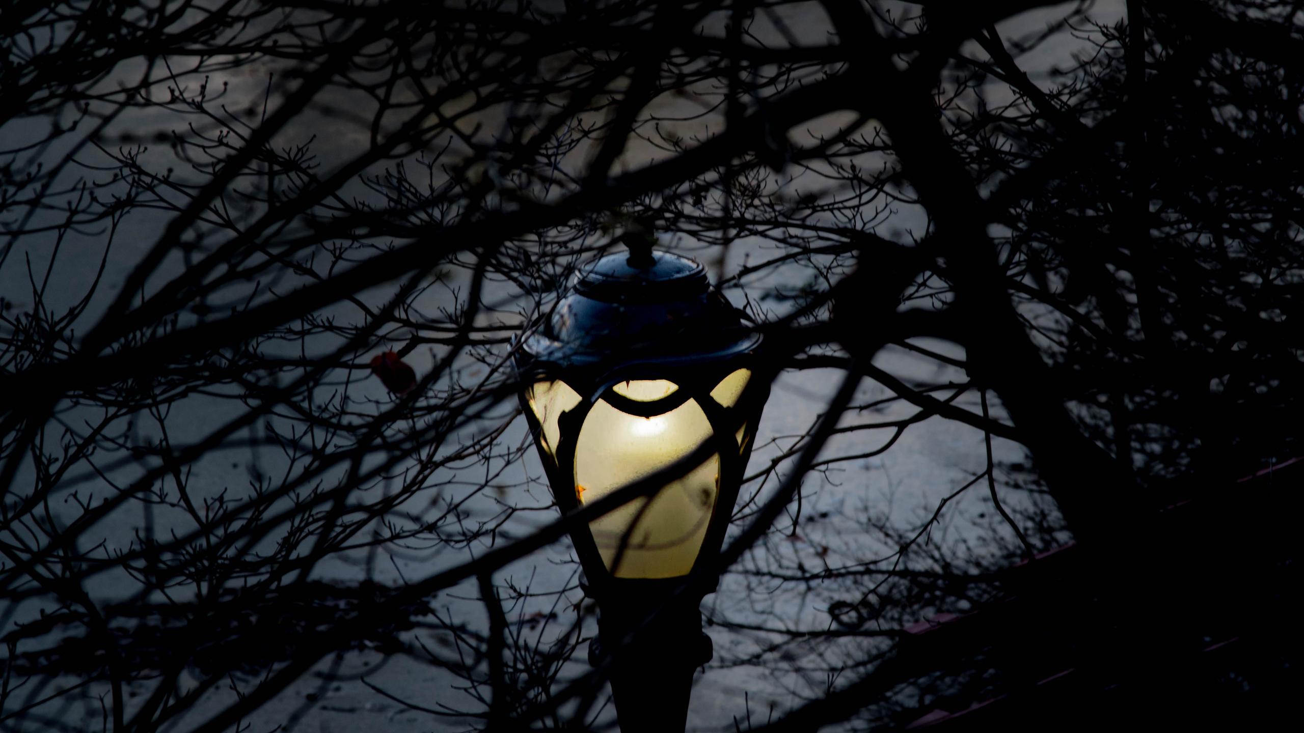 Lamp Post Wallpapers - Top Free Lamp Post Backgrounds - WallpaperAccess