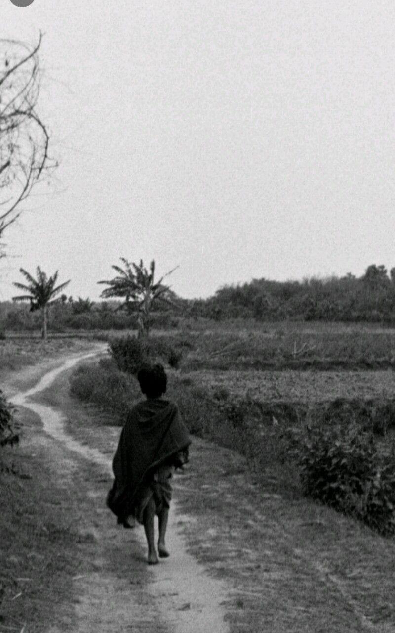 Pather Panchali Wallpapers - Top Free Pather Panchali Backgrounds ...