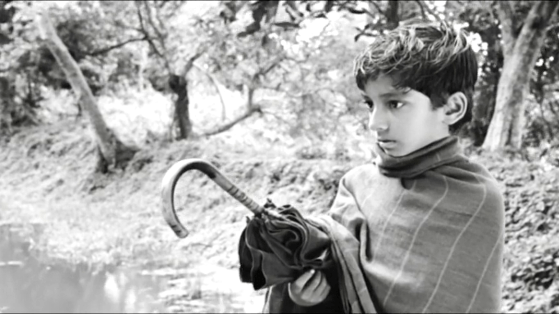 Pather Panchali Wallpapers - Top Free Pather Panchali Backgrounds ...