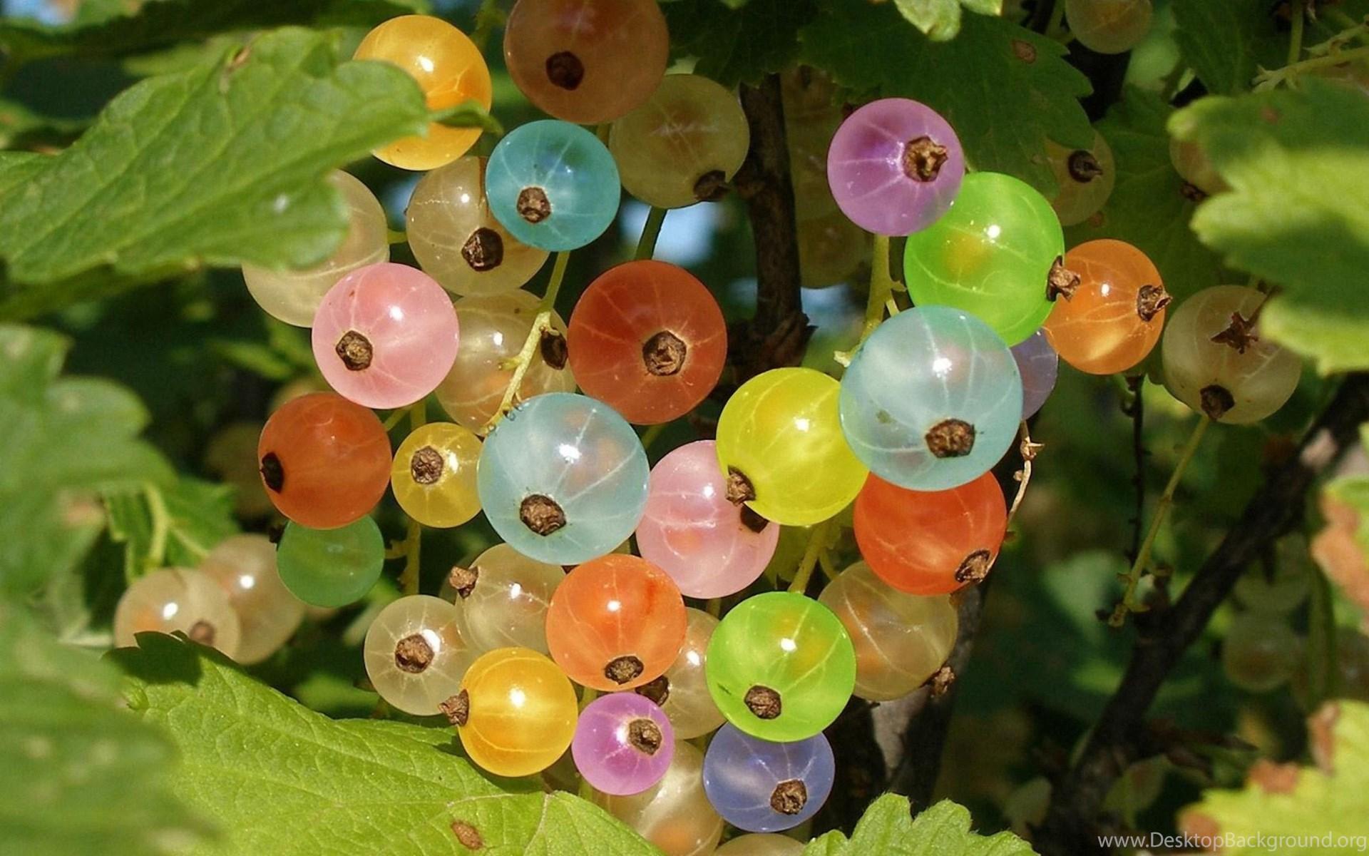 Colorful Fruits Wallpapers - Top Free Colorful Fruits Backgrounds ...