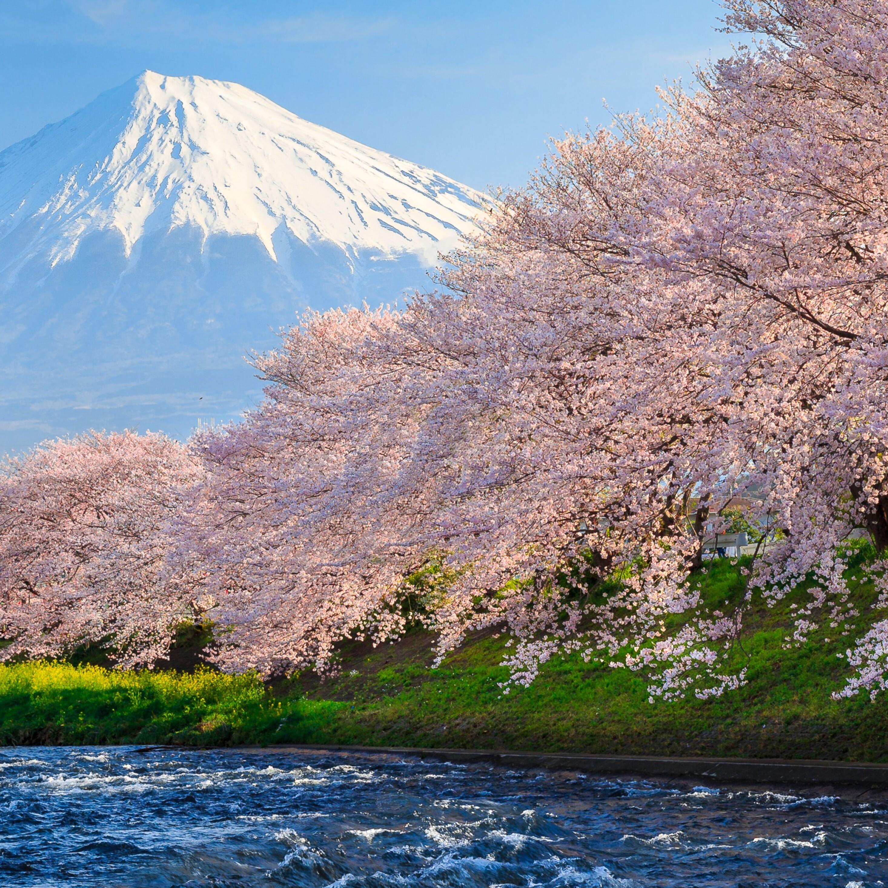 Japan Ipad Wallpapers - Top Free Japan Ipad Backgrounds - WallpaperAccess