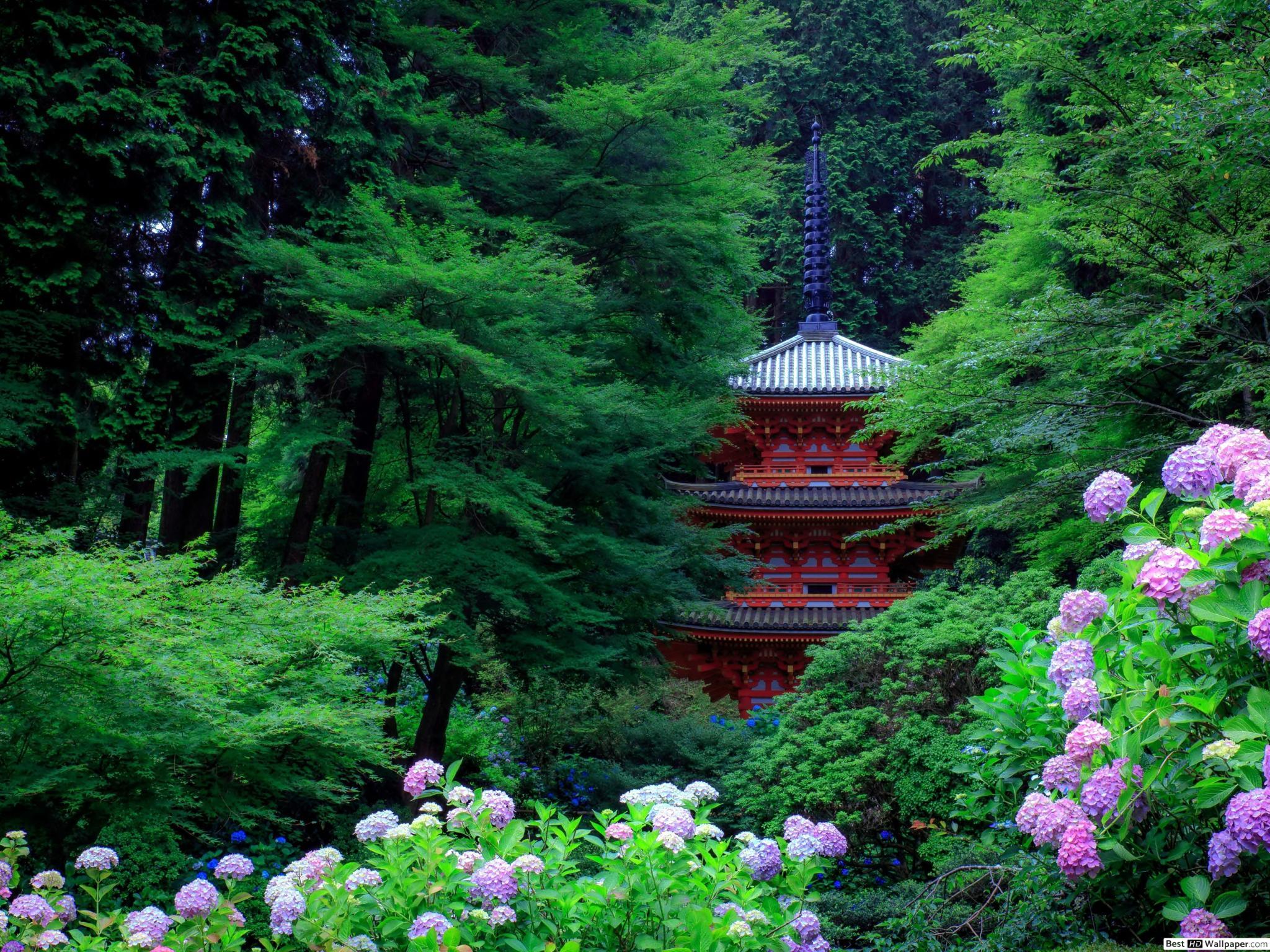 Japan Ipad Wallpapers - Top Free Japan Ipad Backgrounds - WallpaperAccess