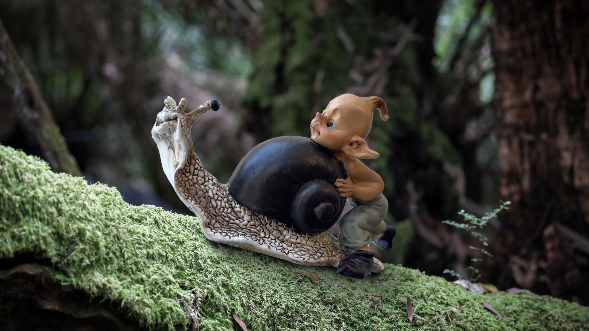 Pixie Hollow Wallpapers - Top Free Pixie Hollow Backgrounds ...