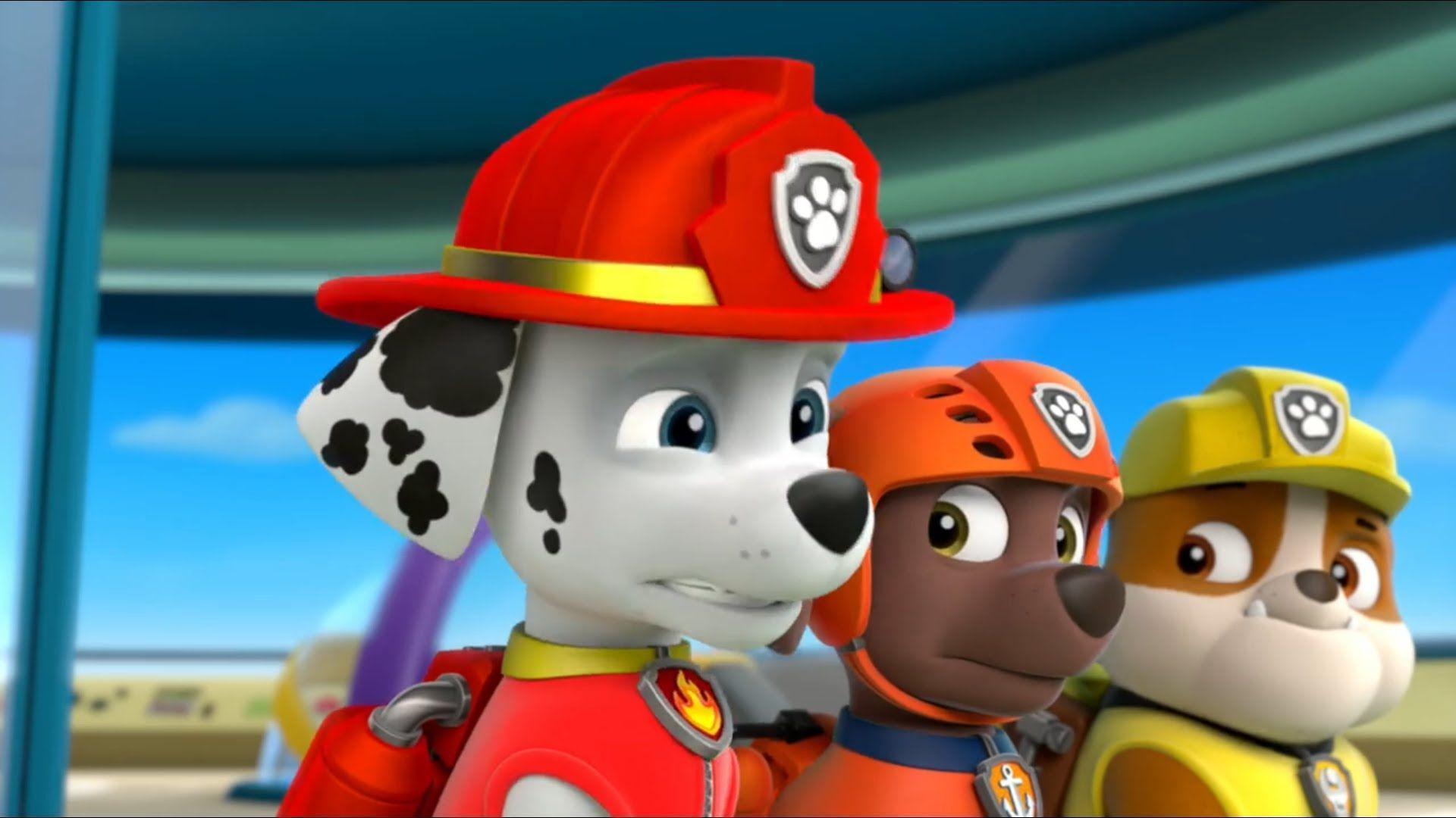 Marshall Paw Patrol Wallpapers - Top Free Marshall Paw Patrol ...
