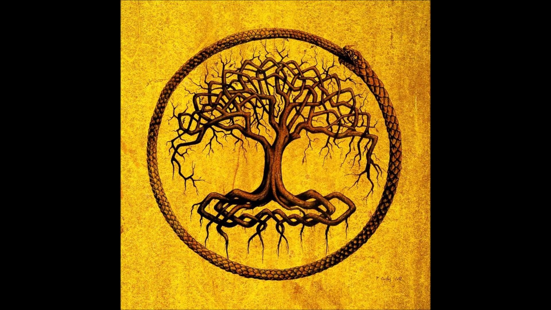 Carl Jung Wallpapers - Top Free Carl Jung Backgrounds - WallpaperAccess