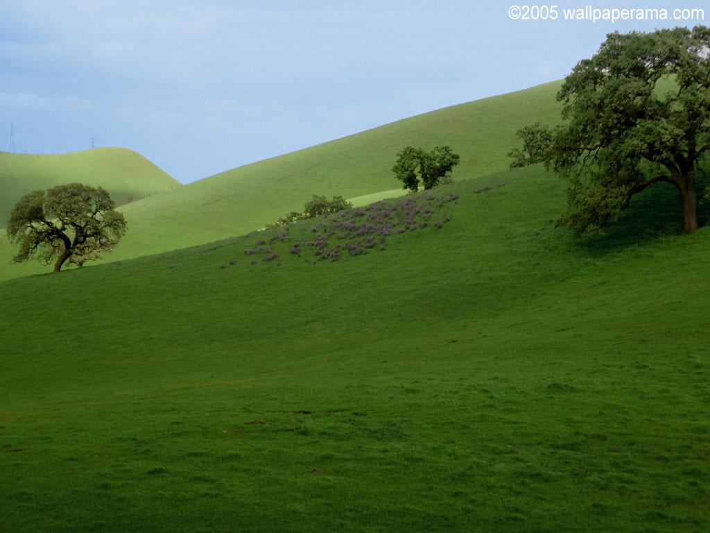 Rolling Hills Wallpapers - Top Free Rolling Hills Backgrounds ...