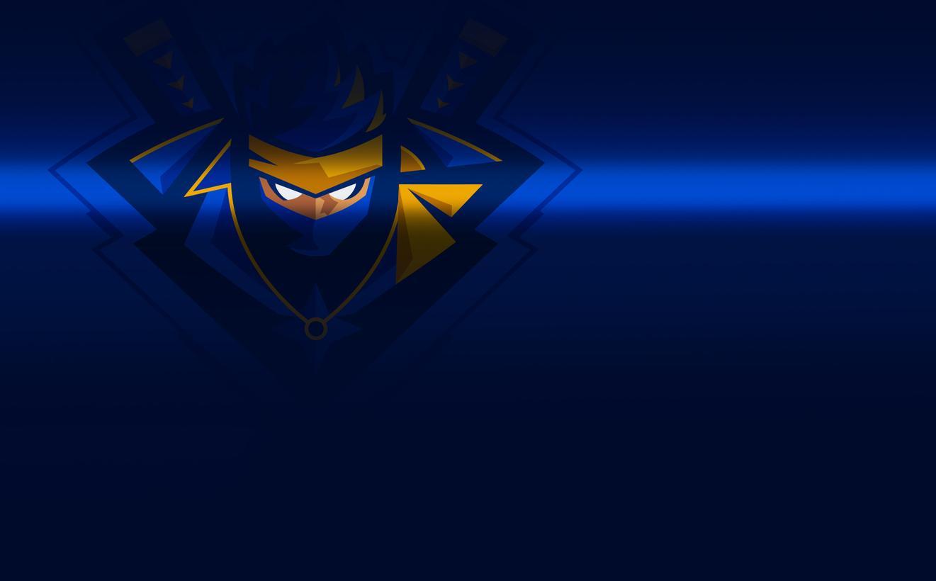 Ninja Gamer Wallpapers - Top Free Ninja Gamer Backgrounds - WallpaperAccess