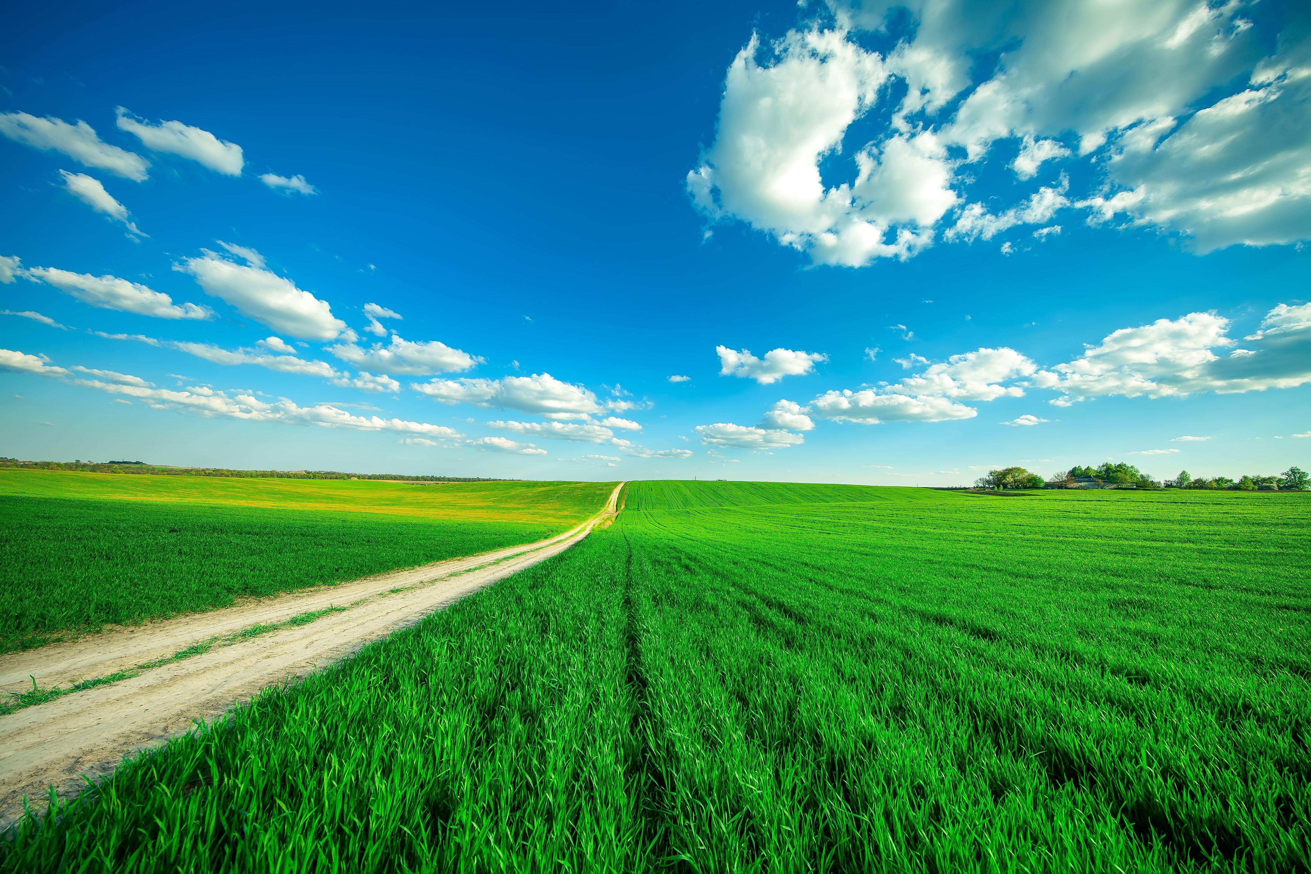 Paddy Field Wallpapers - Top Free Paddy Field Backgrounds - WallpaperAccess