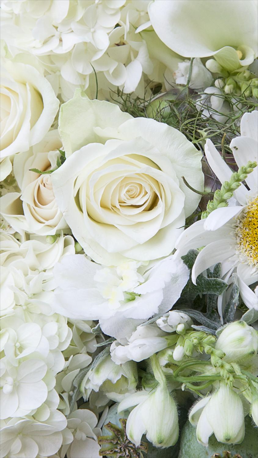 Floral Mobile Wallpapers - Top Free Floral Mobile Backgrounds ...