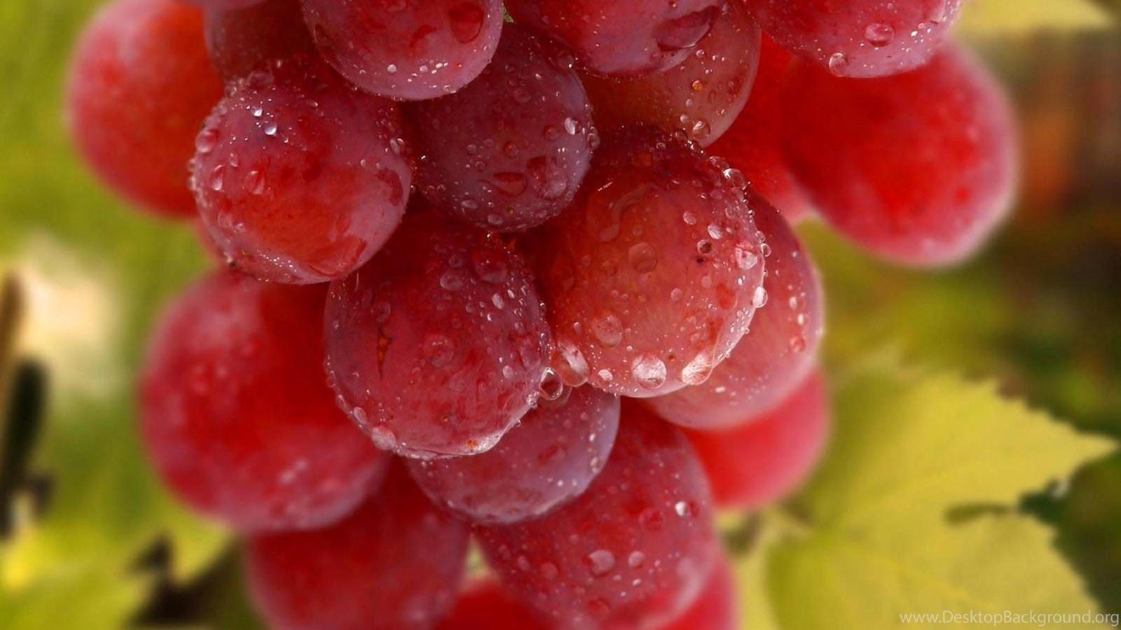 Mix Fruit Wallpapers - Top Free Mix Fruit Backgrounds - WallpaperAccess