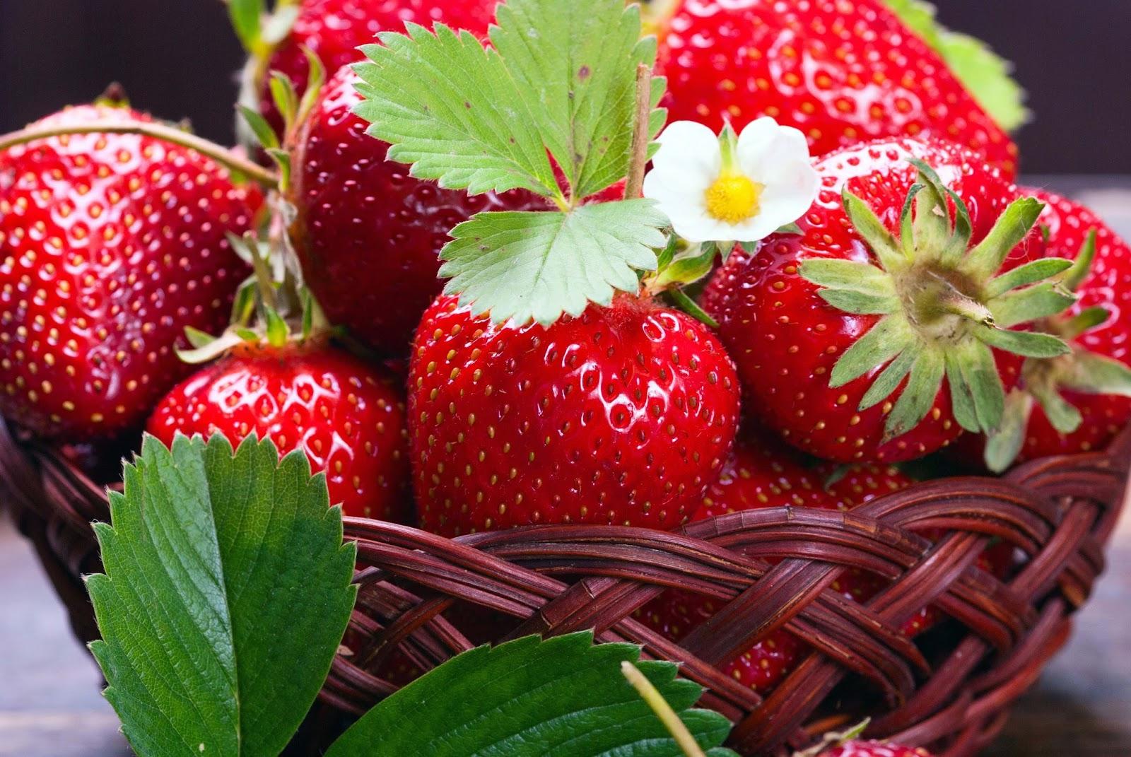 Mix Fruit Wallpapers - Top Free Mix Fruit Backgrounds - WallpaperAccess
