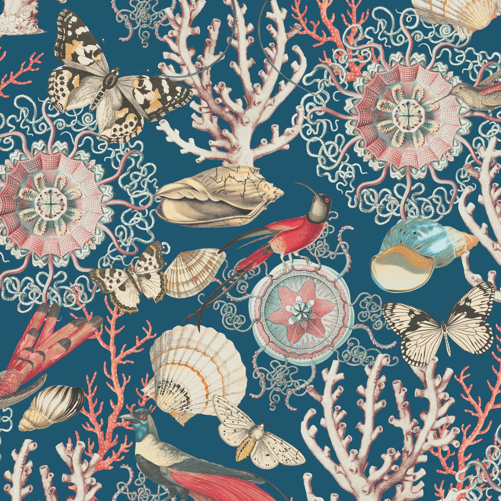 Coral Blue Wallpapers - Top Free Coral Blue Backgrounds - WallpaperAccess