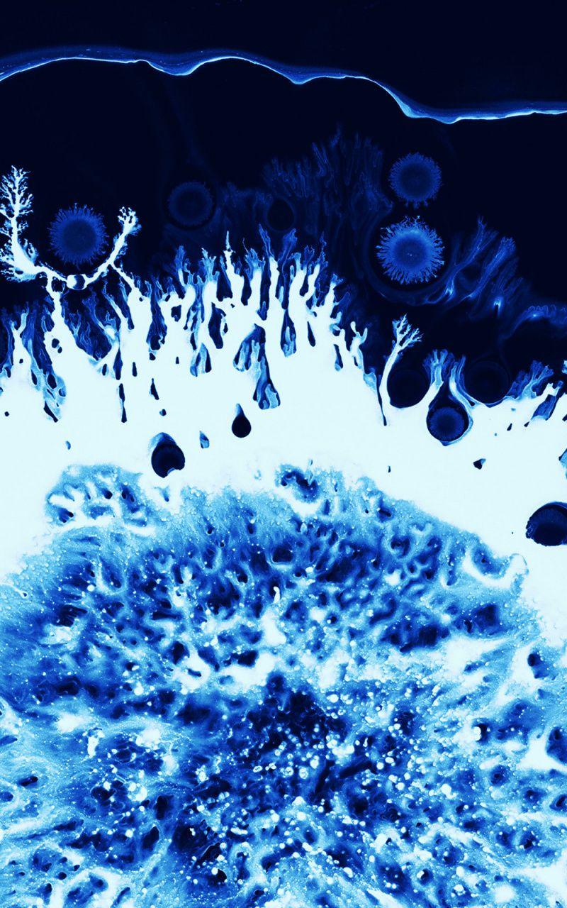 Coral Blue Wallpapers - Top Free Coral Blue Backgrounds - WallpaperAccess