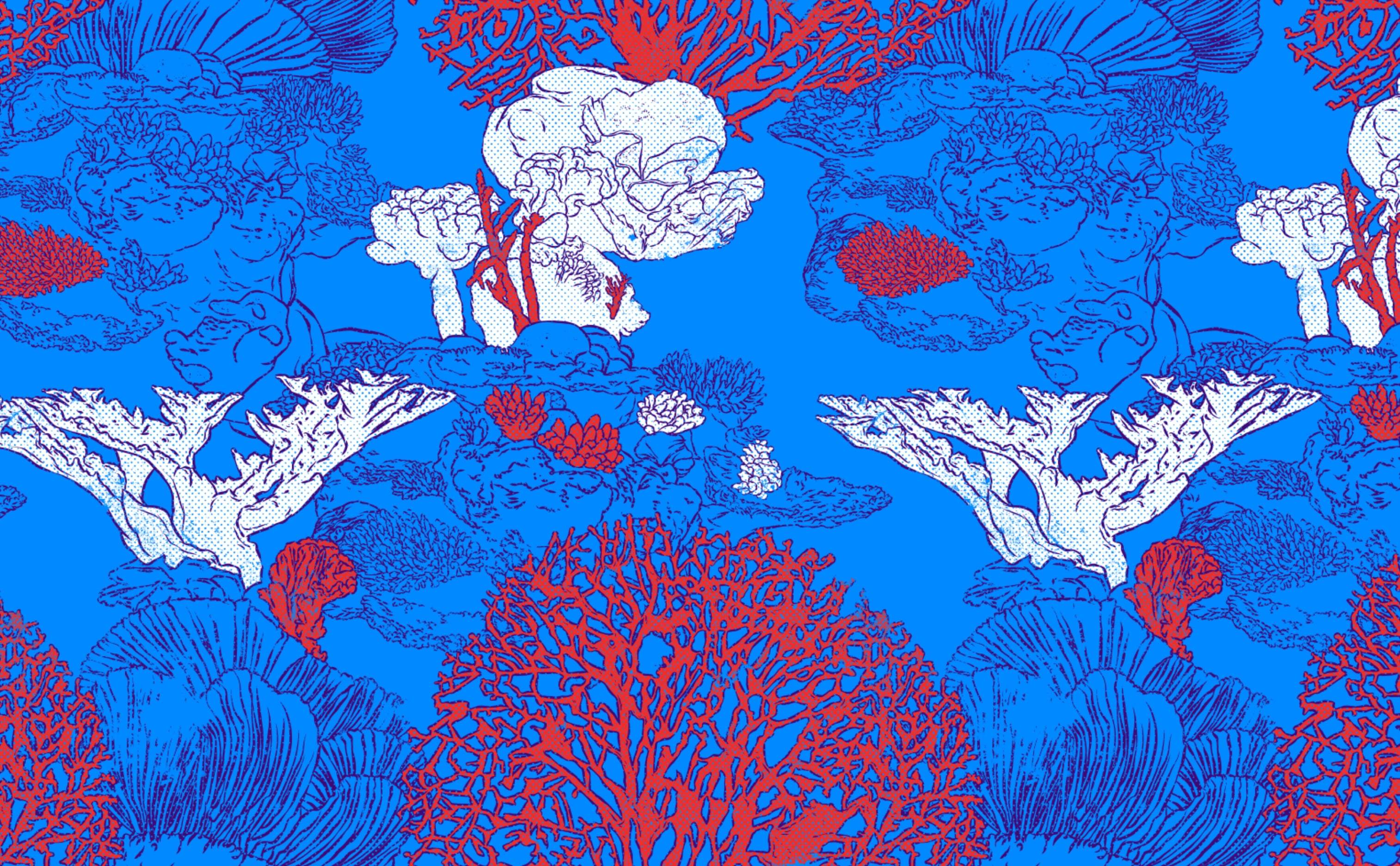 Coral Blue Wallpapers - Top Free Coral Blue Backgrounds - WallpaperAccess