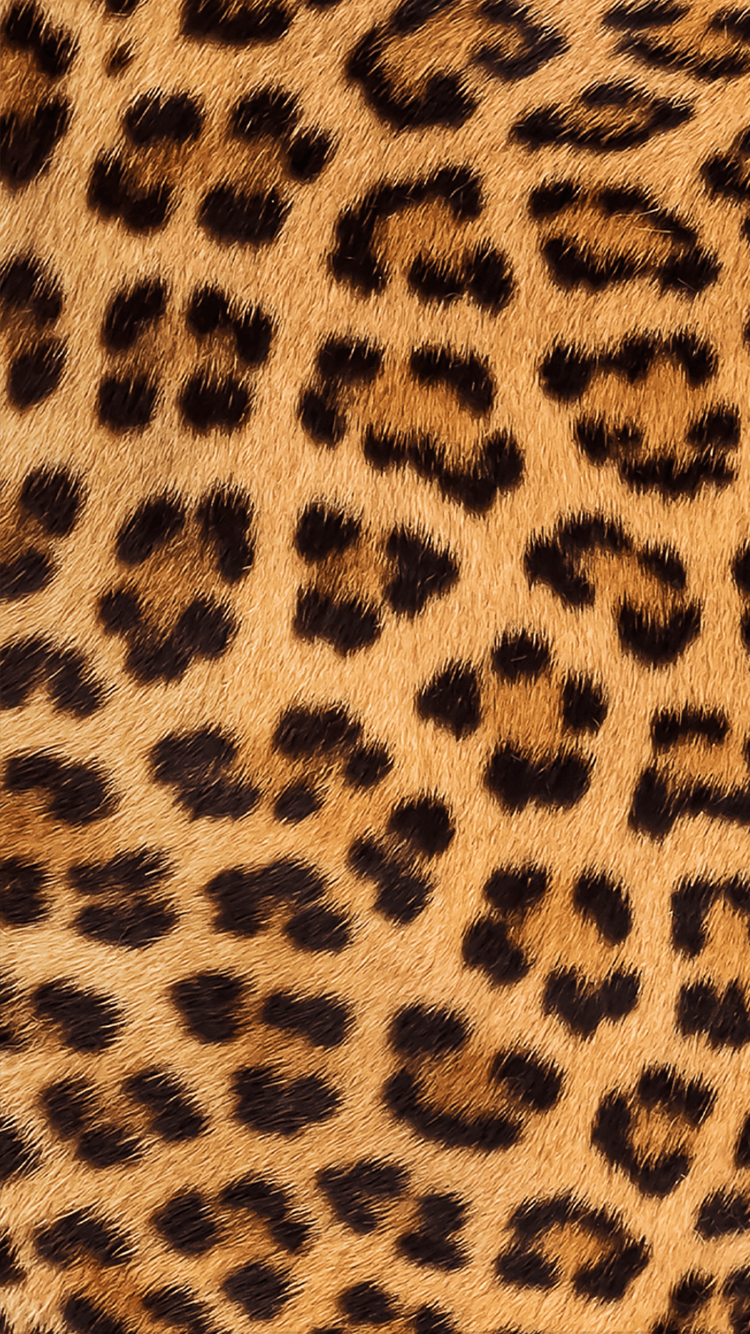 Animal Texture Wallpapers - Top Free Animal Texture Backgrounds ...