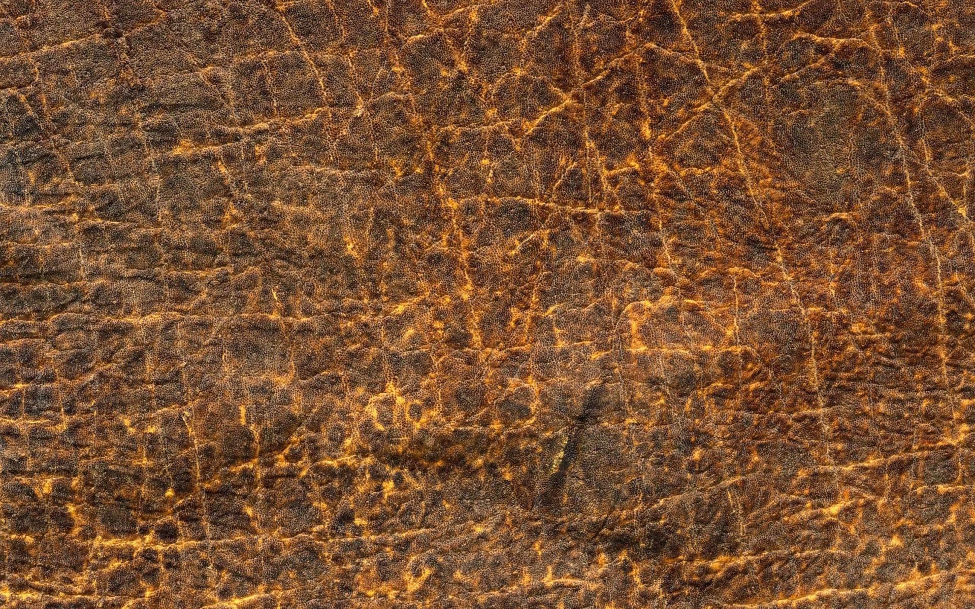 Animal Texture Wallpapers - Top Free Animal Texture Backgrounds ...