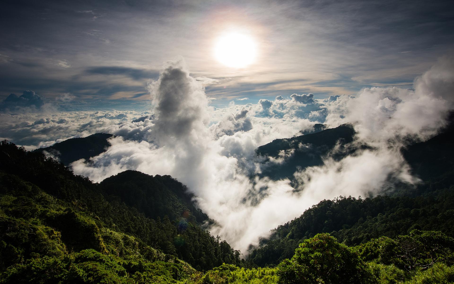 Cloud Forest Wallpapers - Top Free Cloud Forest Backgrounds ...