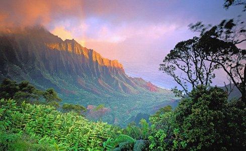 Hawaii Nature Wallpapers - Top Free Hawaii Nature Backgrounds ...