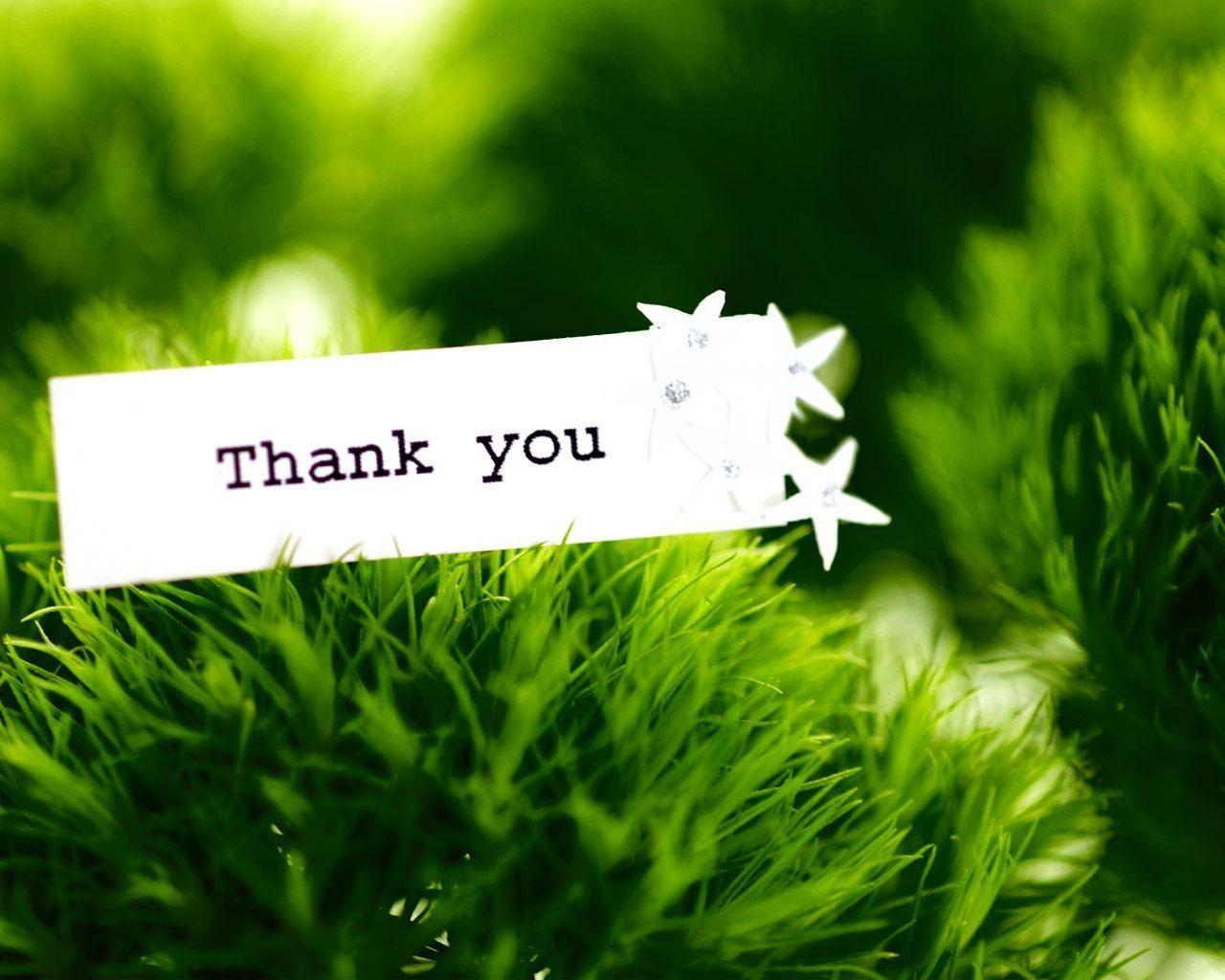 Cute Thank You Wallpapers - Top Free Cute Thank You Backgrounds ...