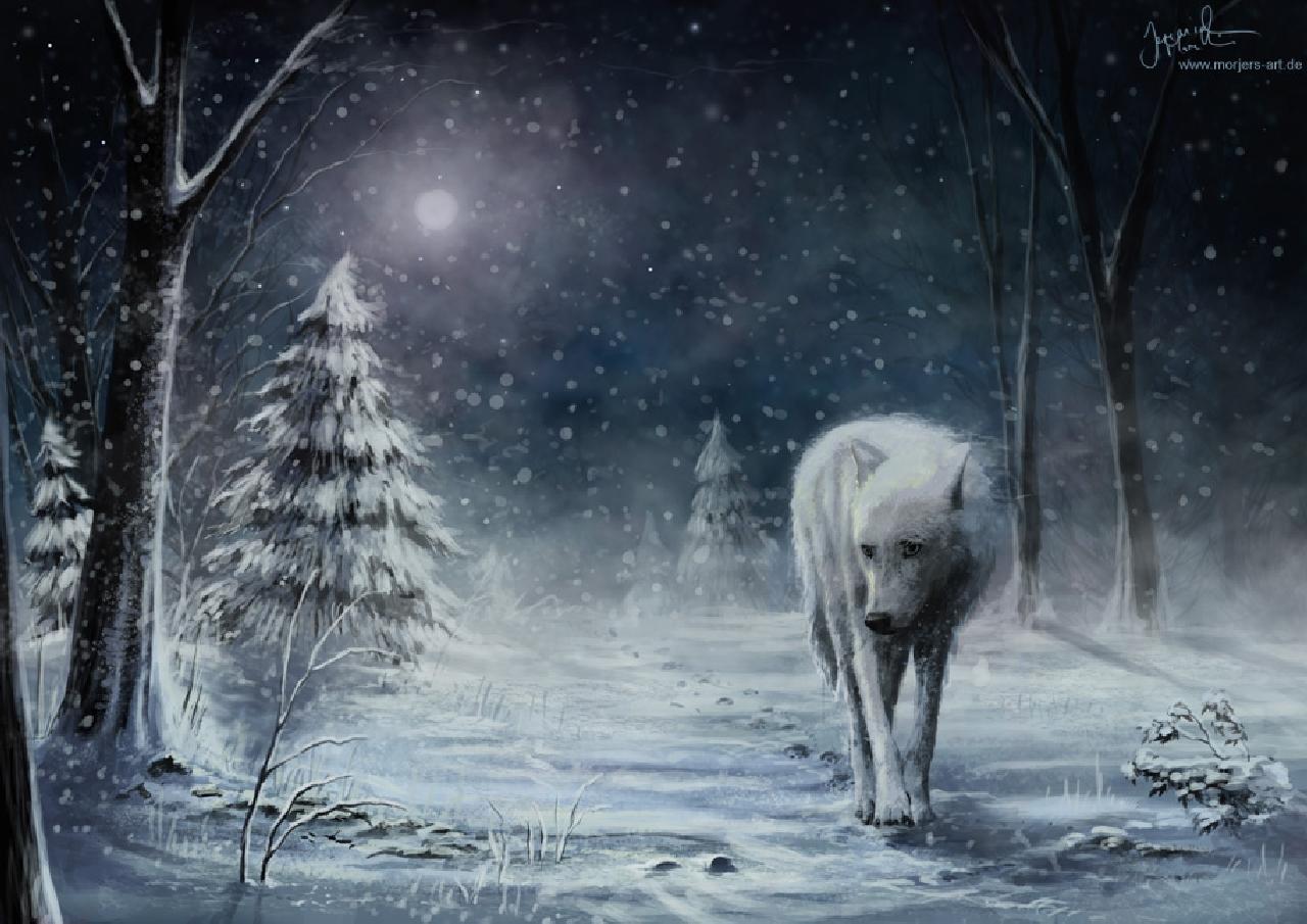 Christmas Wolves Wallpapers - Top Free Christmas Wolves Backgrounds ...