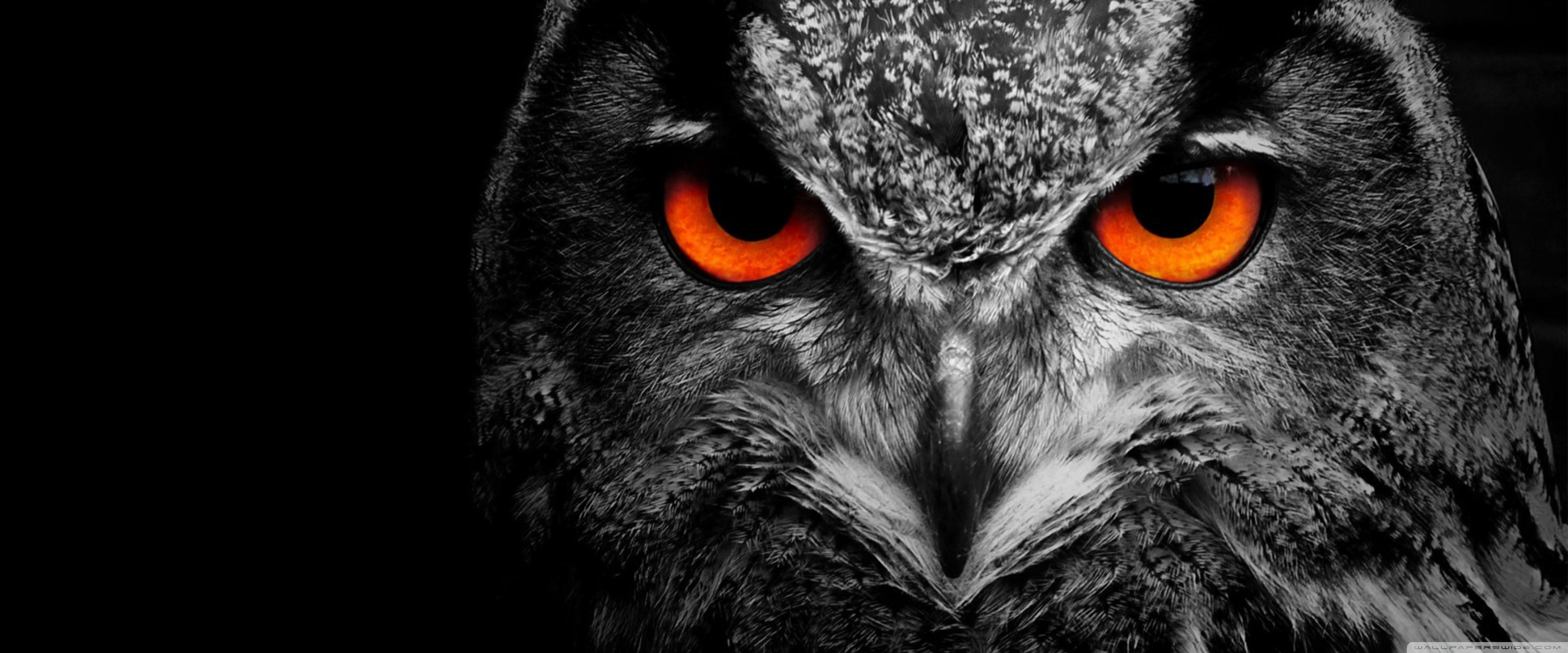 3840X1600 4K Wallpapers - Top Free 3840X1600 4K Backgrounds ...