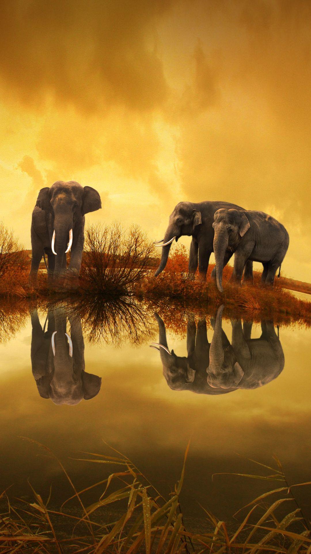 2Mb Wallpapers - Top Free 2Mb Backgrounds - WallpaperAccess