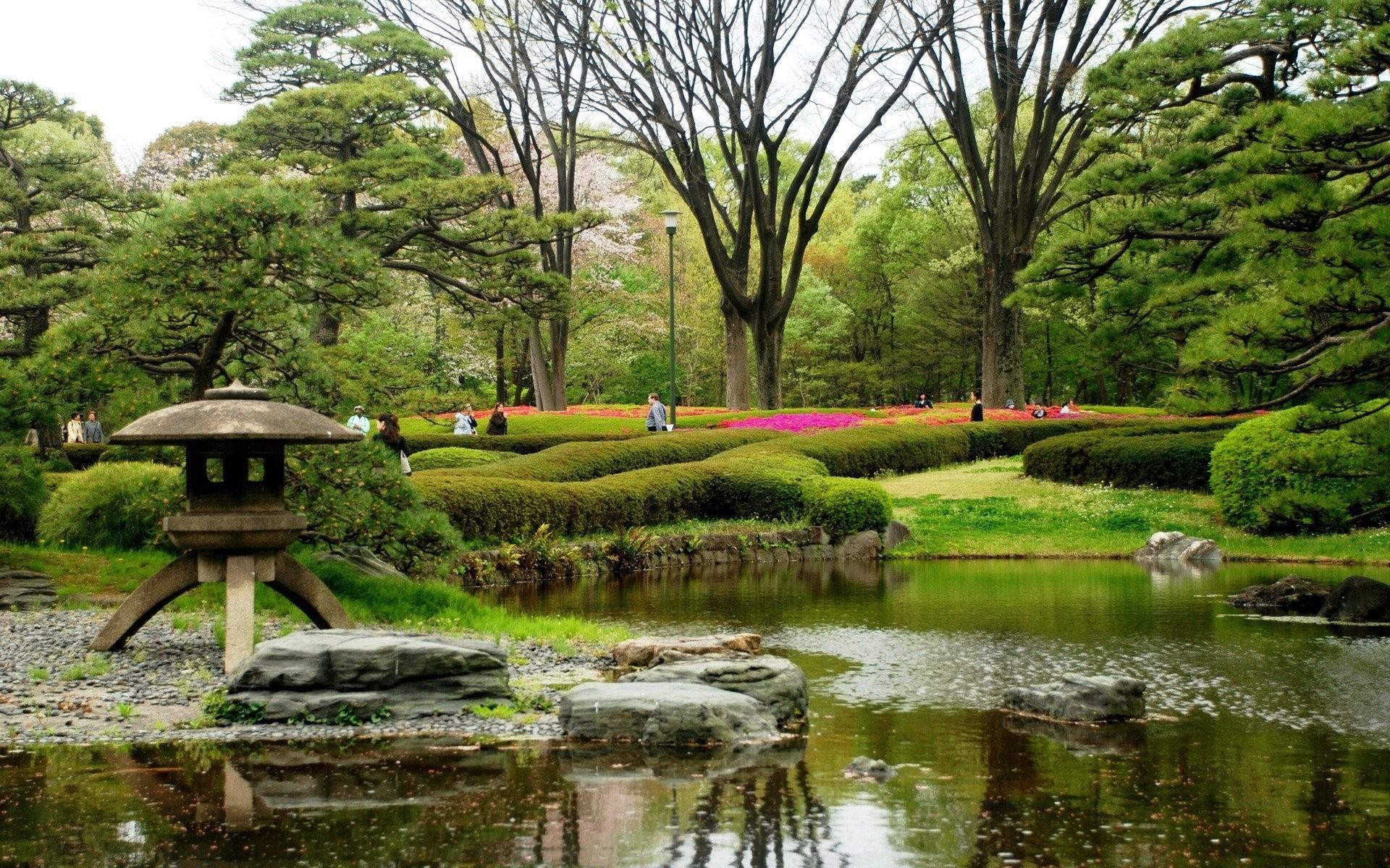 Printemps Wallpapers - Top Free Printemps Backgrounds - WallpaperAccess
