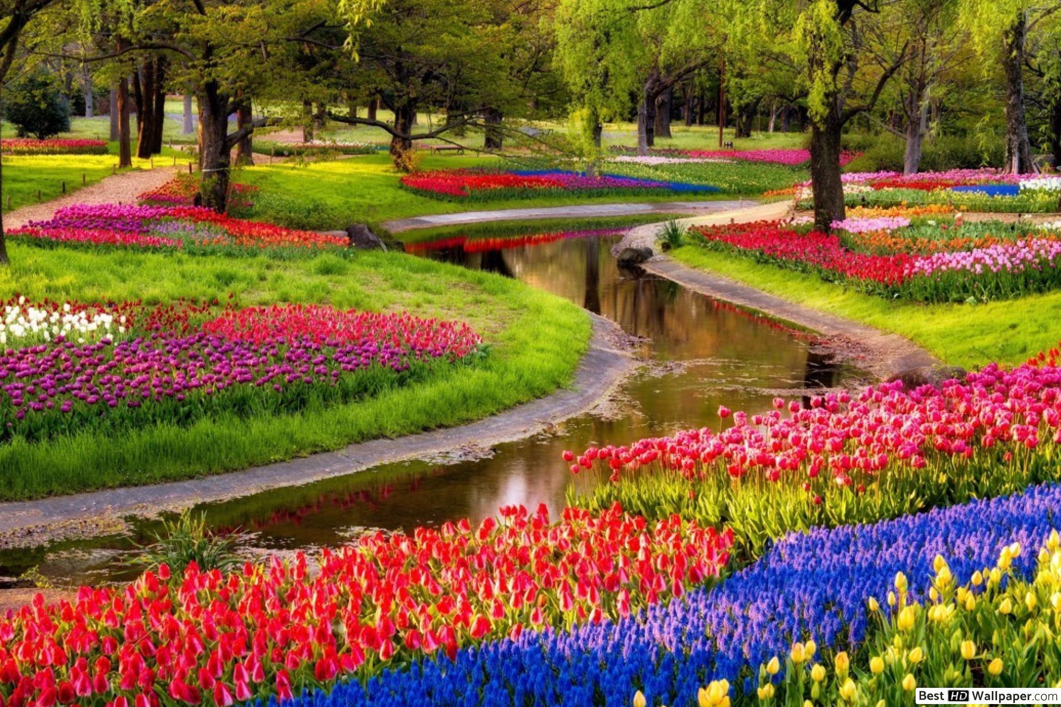 Printemps Wallpapers - Top Free Printemps Backgrounds - WallpaperAccess