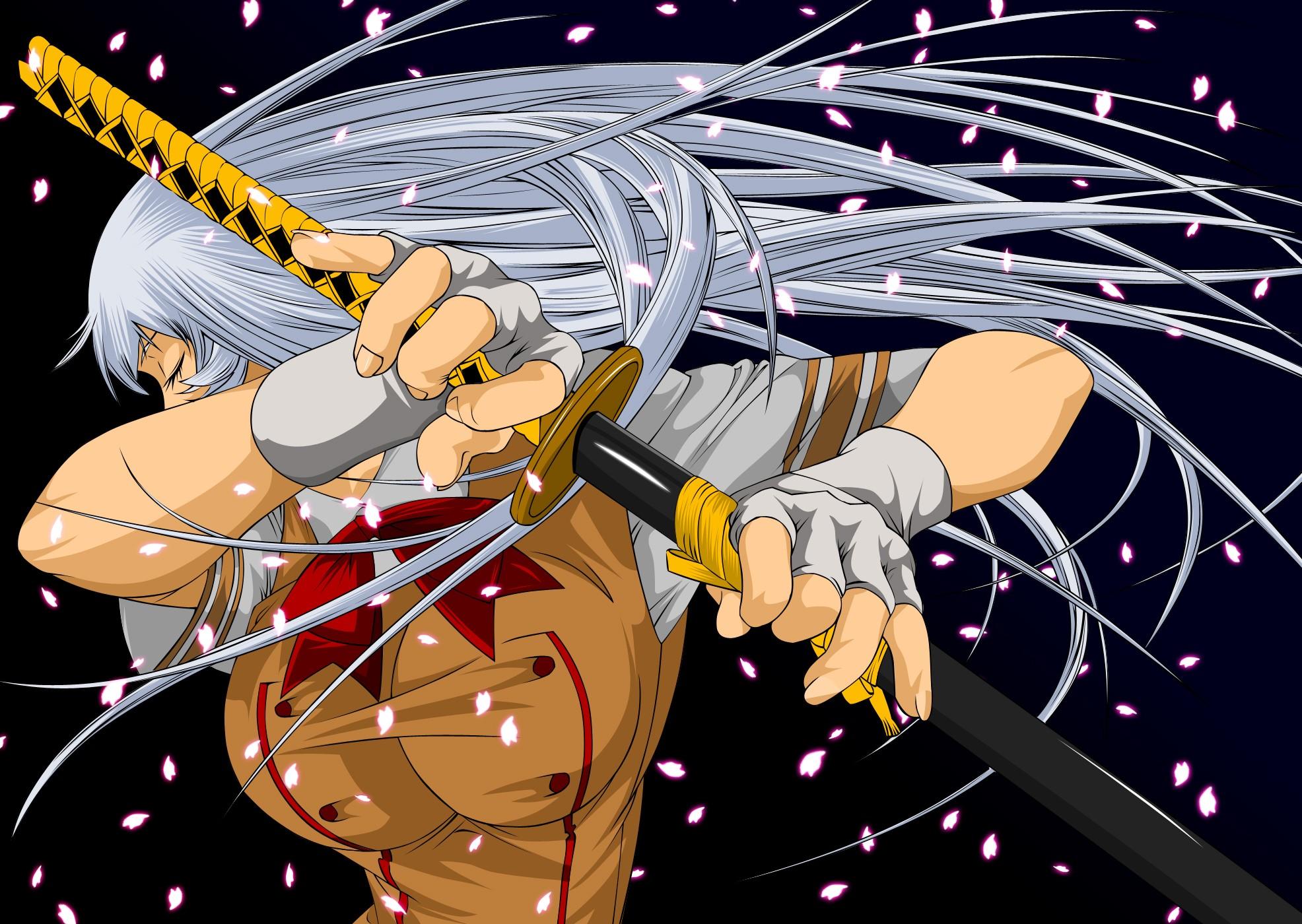 Ikki Tousen Wallpapers - Top Free Ikki Tousen Backgrounds - WallpaperAccess