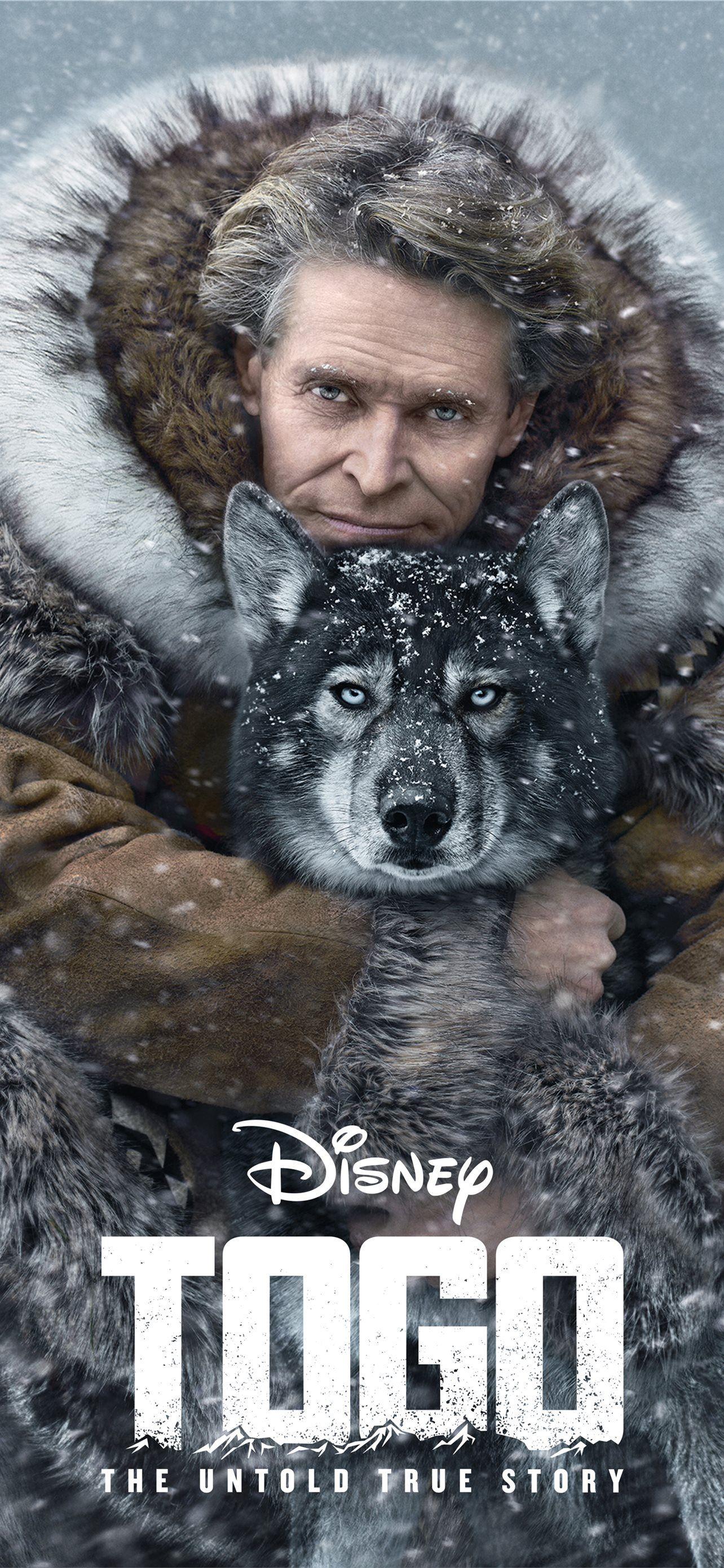 Togo Wallpapers - Top Free Togo Backgrounds - WallpaperAccess