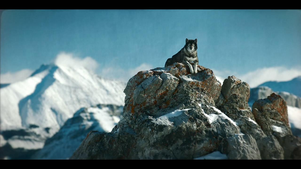 Togo Wallpapers - Top Free Togo Backgrounds - WallpaperAccess