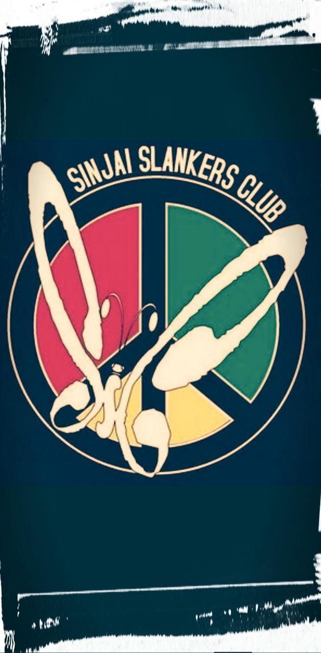 Slank Wallpapers - Top Free Slank Backgrounds - WallpaperAccess