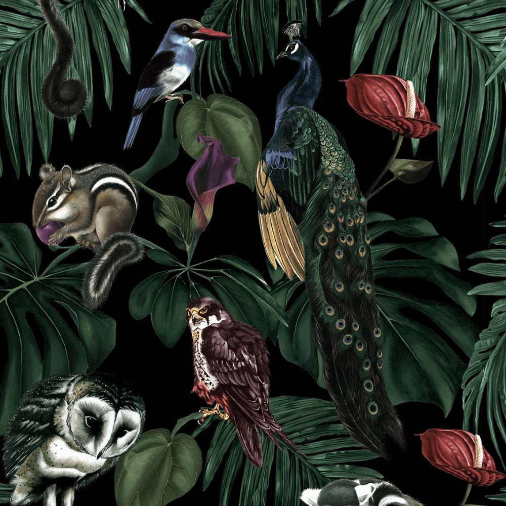 Amazonia Wallpapers - Top Free Amazonia Backgrounds - WallpaperAccess