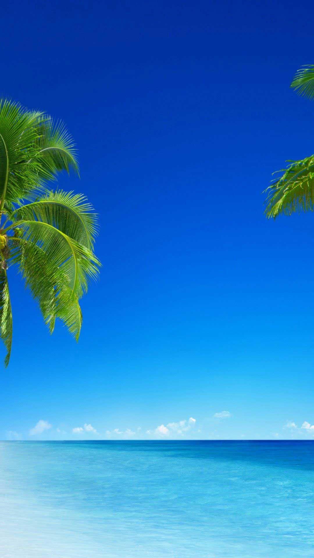 Vertical 8k Wallpapers - Top Free Vertical 8k Backgrounds - WallpaperAccess