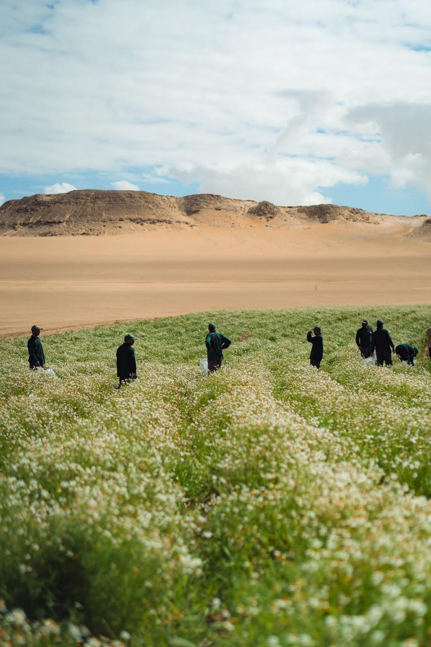 Sand Village Wallpapers - Top Free Sand Village Backgrounds ...