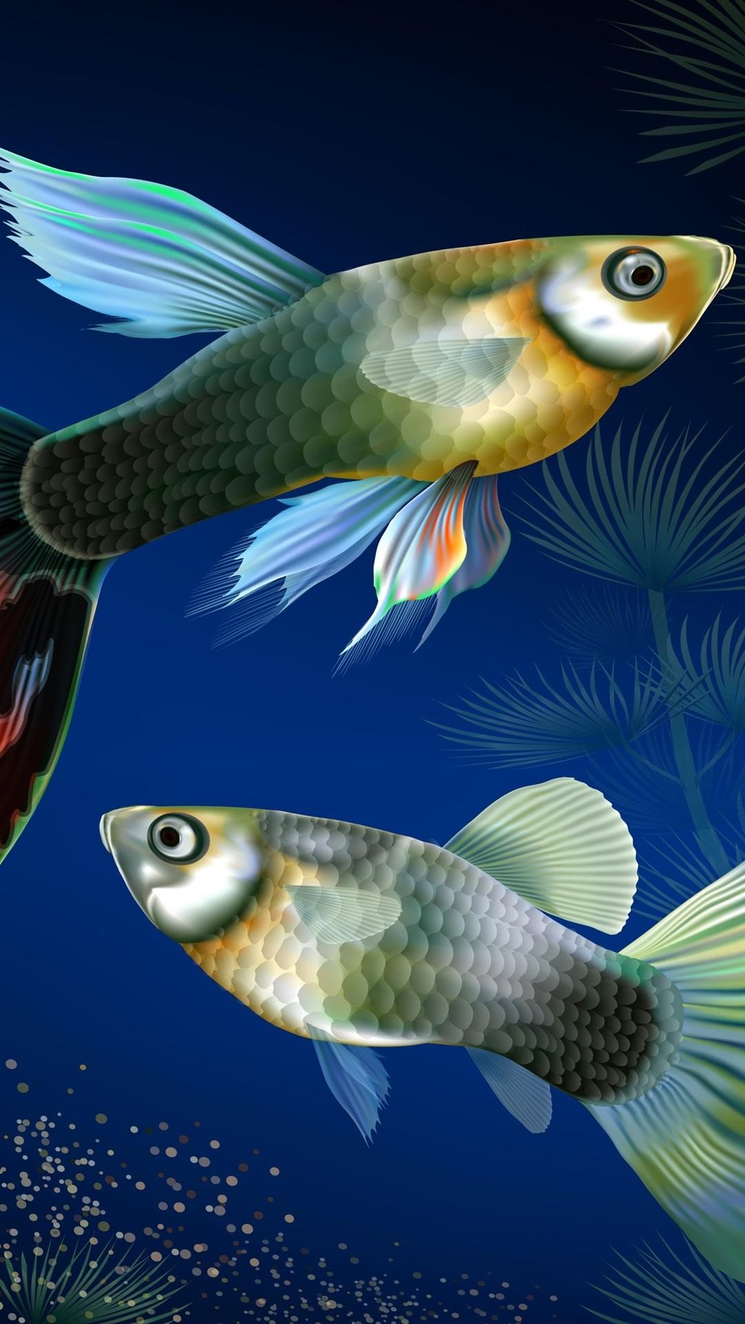 Aquarium iPhone Wallpapers - Top Free Aquarium iPhone Backgrounds ...