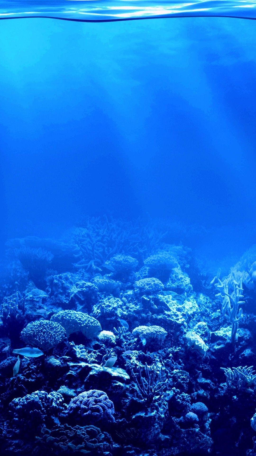 Aquarium iPhone Wallpapers - Top Free Aquarium iPhone Backgrounds ...