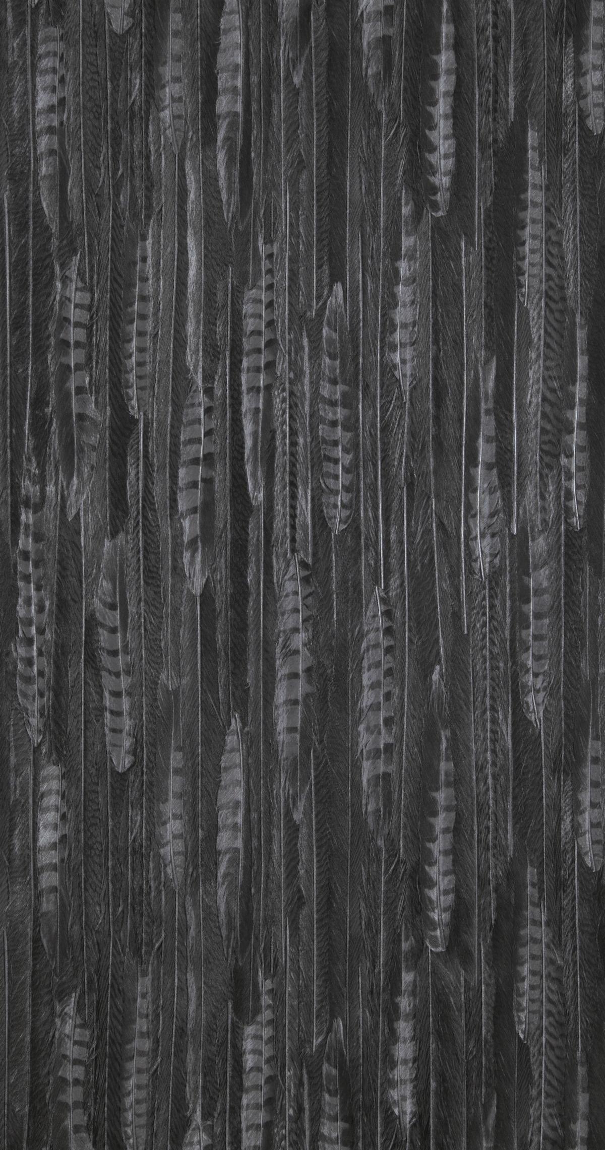 Crow Feather Wallpapers - Top Free Crow Feather Backgrounds ...