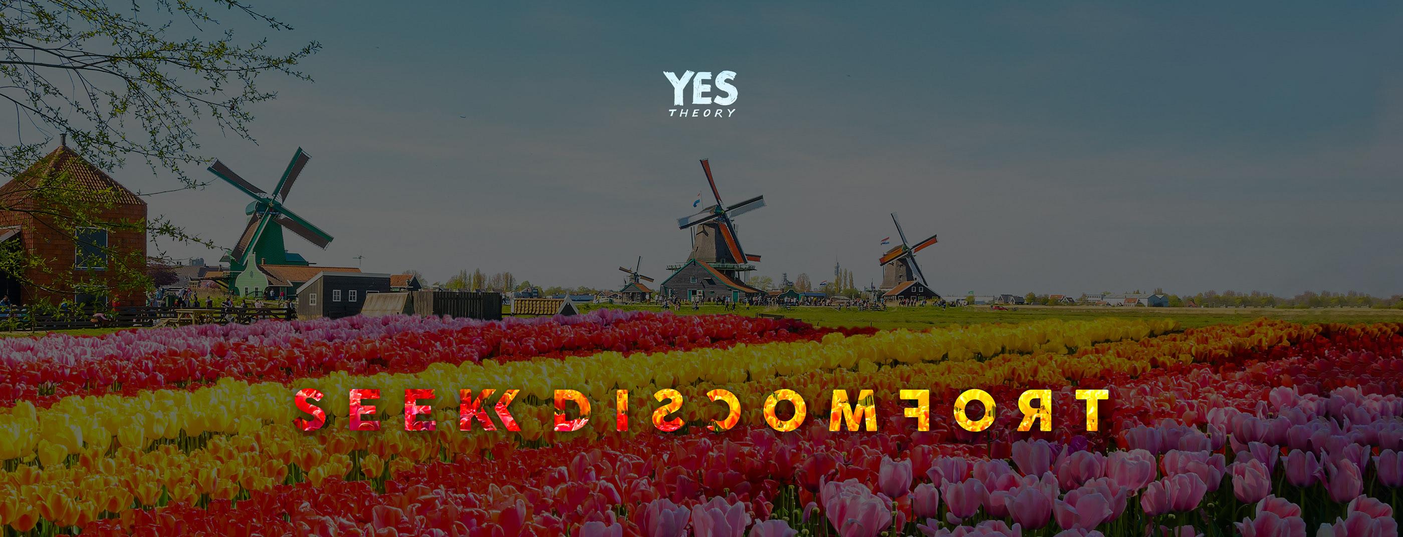 Seek Discomfort Wallpapers - Top Free Seek Discomfort Backgrounds ...