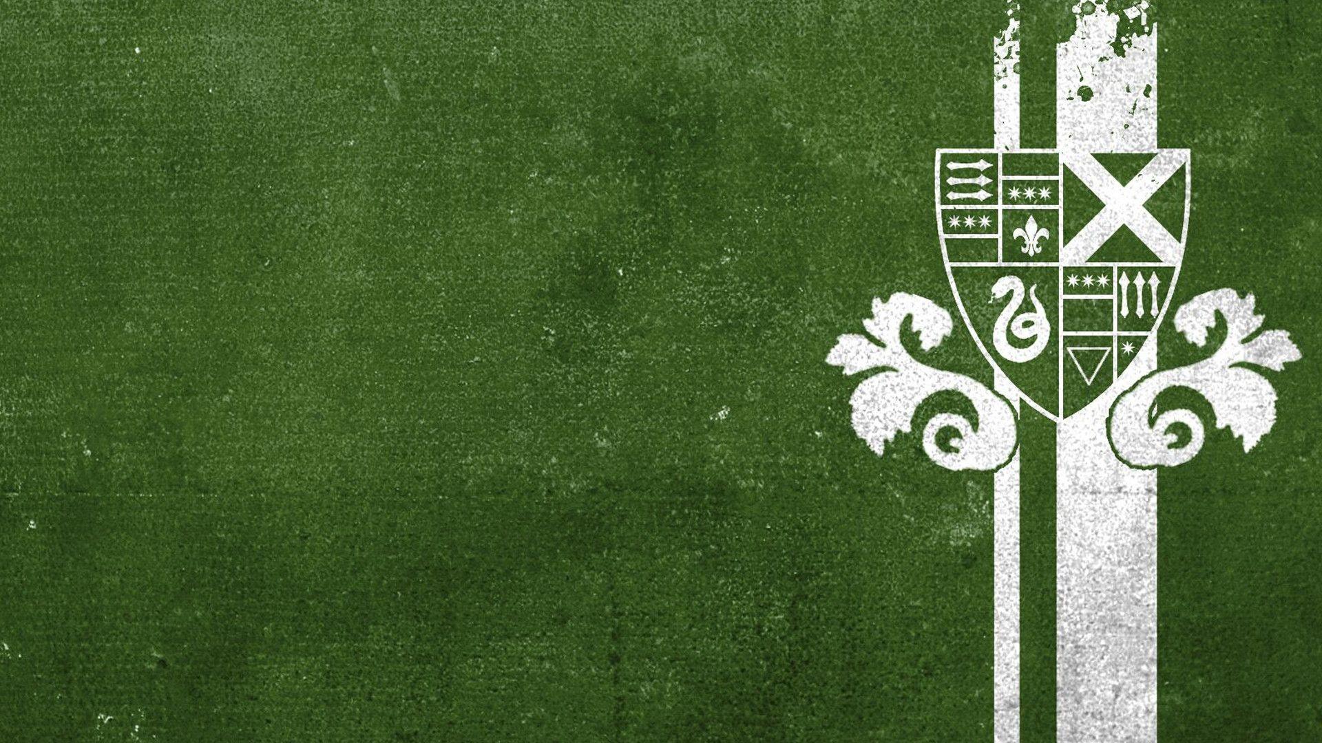 Slytherin Quidditch Wallpapers - Top Free Slytherin Quidditch ...