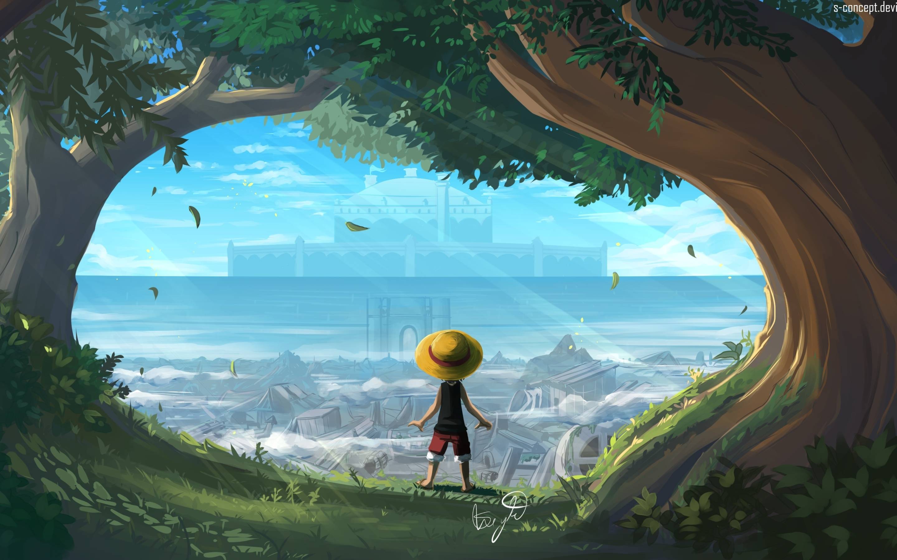 Luffy Laptop Wallpapers - Top Free Luffy Laptop Backgrounds ...