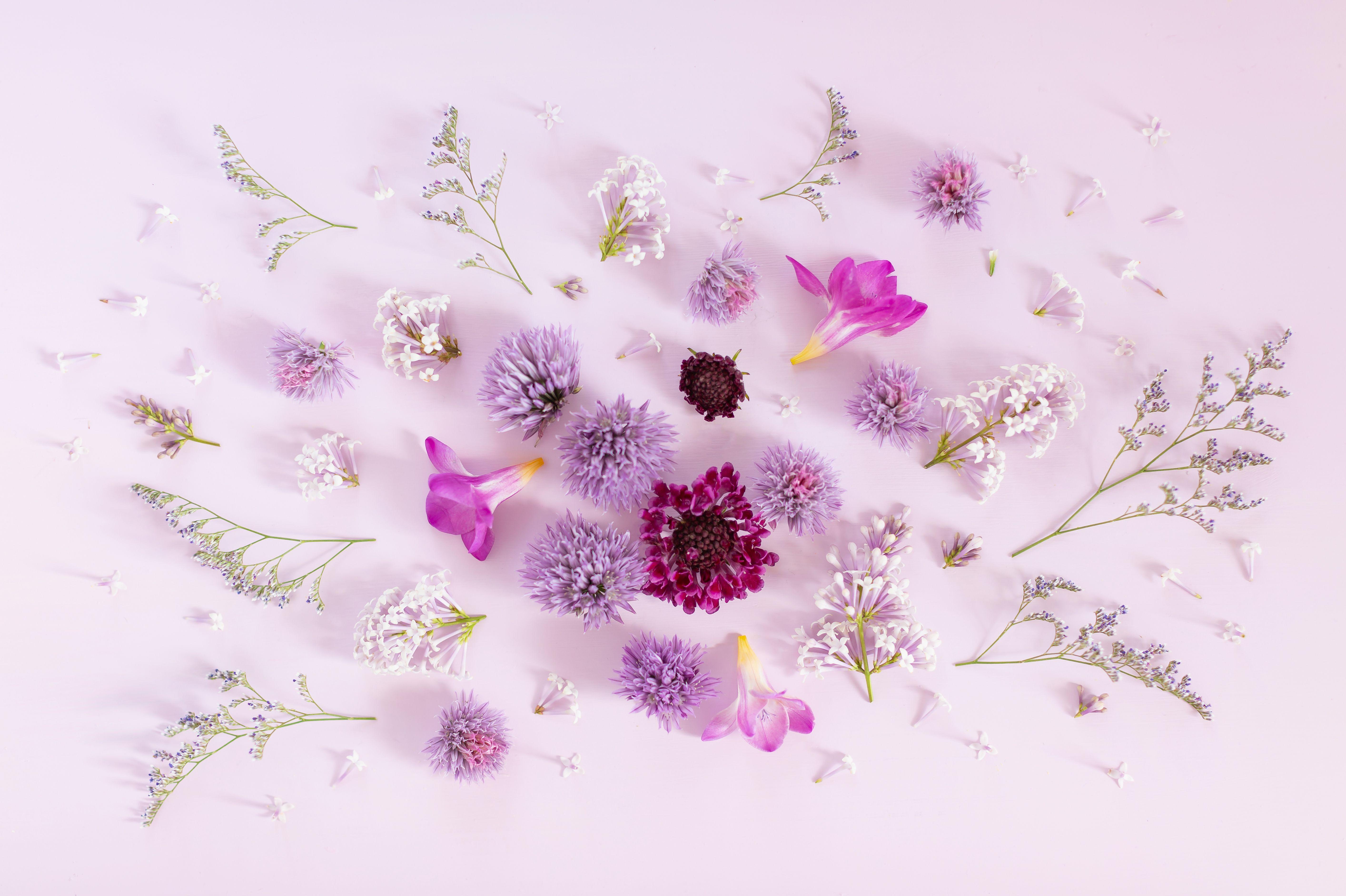 Pastel Purple Computer Wallpapers - Top Free Pastel Purple Computer Backgrounds - WallpaperAccess