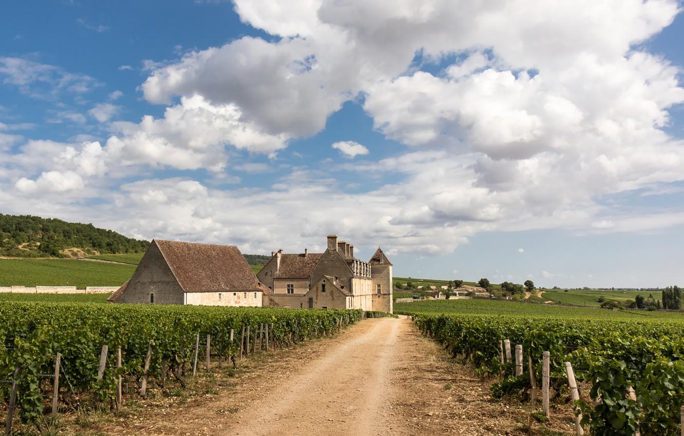 Burgundy Desktop Wallpapers - Top Free Burgundy Desktop Backgrounds ...