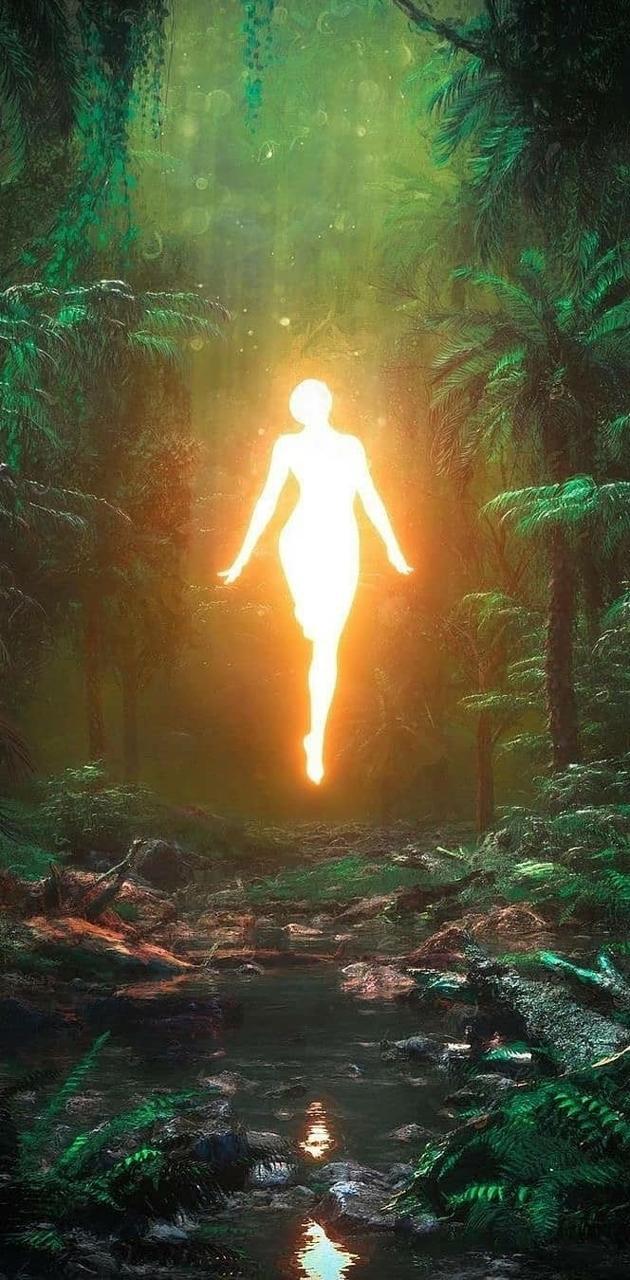 Magical Nature Wallpapers - Top Free Magical Nature Backgrounds ...