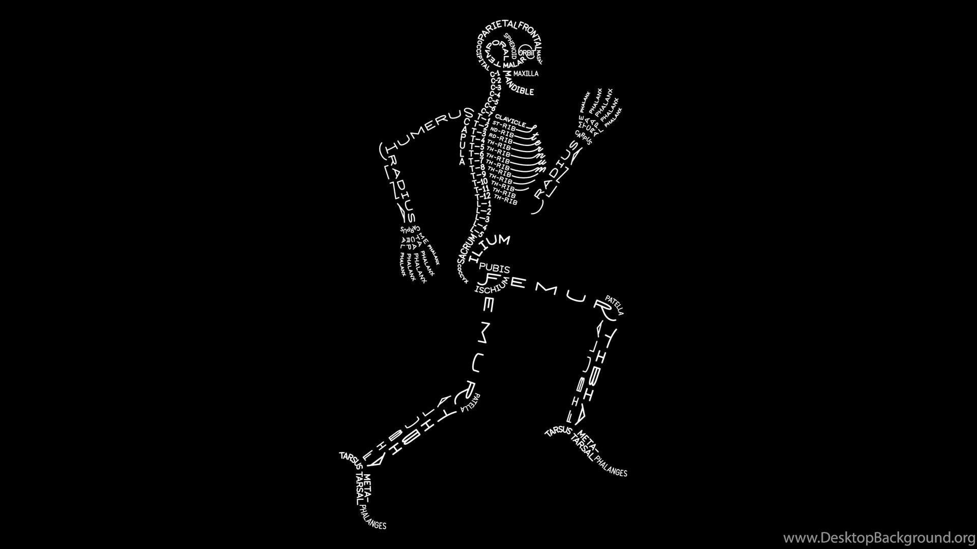 Skeleton Desktop Wallpapers - Top Free Skeleton Desktop Backgrounds ...