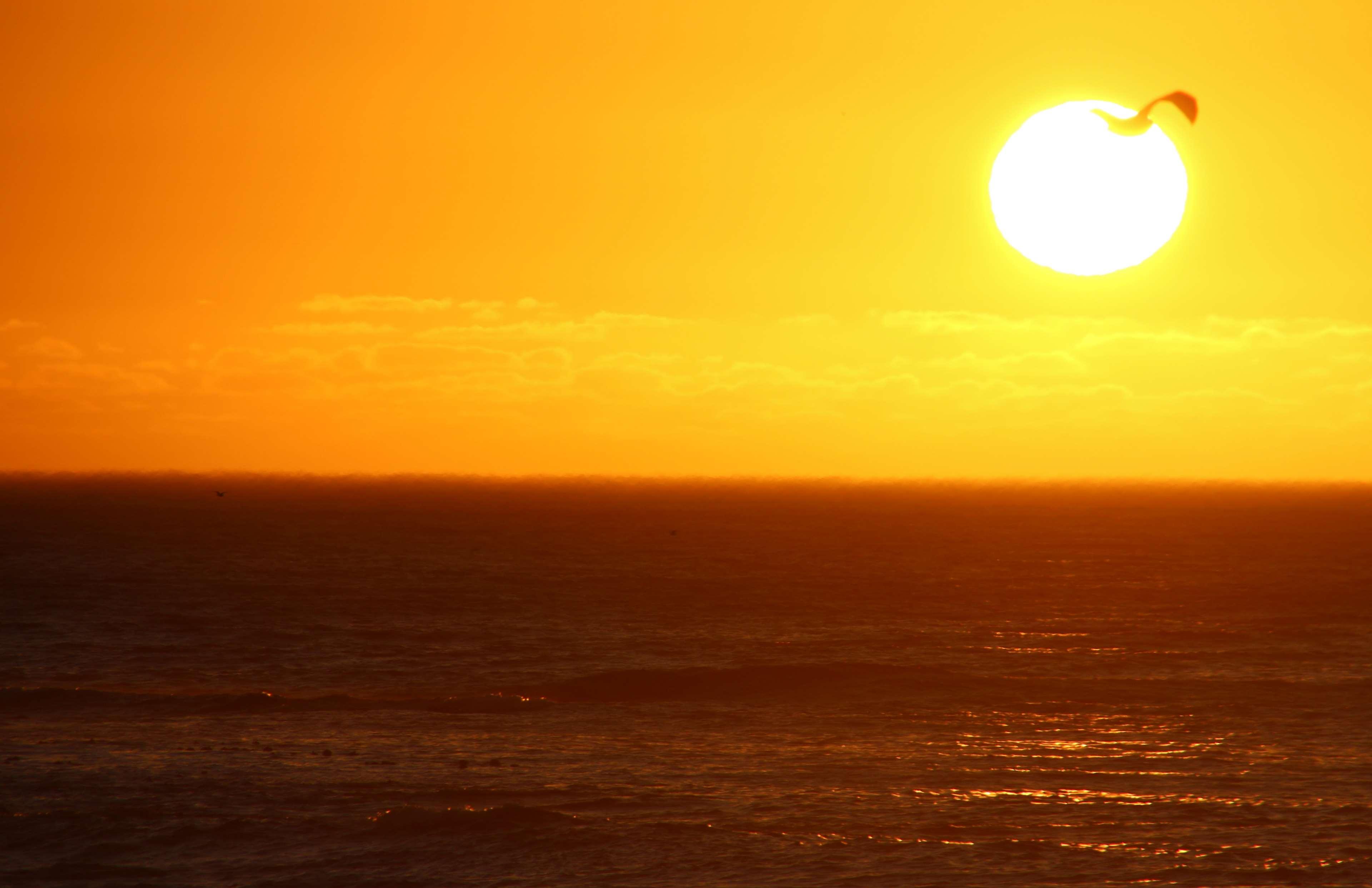 Yellow Sea Wallpapers - Top Free Yellow Sea Backgrounds - WallpaperAccess