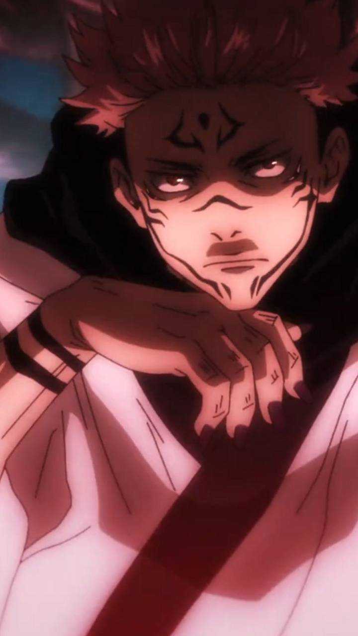 Skuna Wallpapers - Top Free Skuna Backgrounds - WallpaperAccess